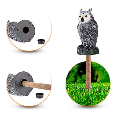 BRITENWAY Ultimate Scarecrow Owl Decoy Statue Realistic Fake Owl Outdoor Bird Deterrent, Hand-Painted Garden Protector, Scares Away Squirrels, Pigeons, Rabbits & More 10,5β Hollow Design