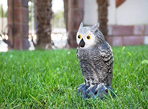 BRITENWAY Ultimate Scarecrow Owl Decoy Statue Realistic Fake Owl Outdoor Bird Deterrent, Hand-Painted Garden Protector, Scares Away Squirrels, Pigeons, Rabbits & More 10,5β Hollow Design