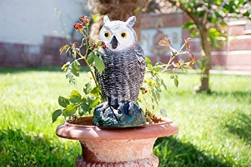 BRITENWAY Ultimate Scarecrow Owl Decoy Statue Realistic Fake Owl Outdoor Bird Deterrent, Hand-Painted Garden Protector, Scares Away Squirrels, Pigeons, Rabbits & More 10,5β Hollow Design