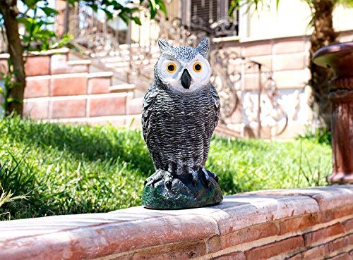 BRITENWAY Ultimate Scarecrow Owl Decoy Statue Realistic Fake Owl Outdoor Bird Deterrent, Hand-Painted Garden Protector, Scares Away Squirrels, Pigeons, Rabbits & More 10,5β Hollow Design