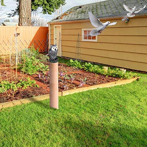 BRITENWAY Ultimate Scarecrow Owl Decoy Statue Realistic Fake Owl Outdoor Bird Deterrent, Hand-Painted Garden Protector, Scares Away Squirrels, Pigeons, Rabbits & More 10,5β Hollow Design