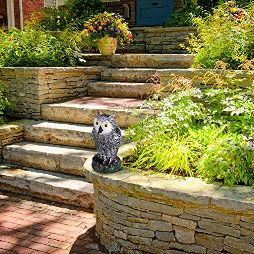 BRITENWAY Ultimate Scarecrow Owl Decoy Statue Realistic Fake Owl Outdoor Bird Deterrent, Hand-Painted Garden Protector, Scares Away Squirrels, Pigeons, Rabbits & More 10,5β Hollow Design