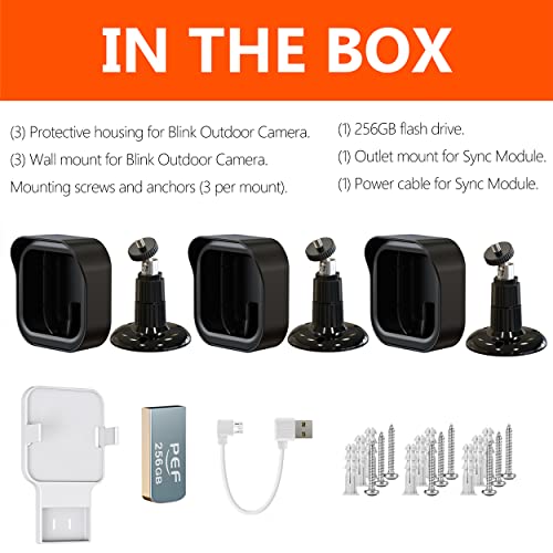256GB Blink USB Flash Drive and Blink Outdoor Camera Mount, 3 Pack Camera Housing and 360° Adjustable Mounting Bracket with Blink Sync Module 2 Mount(Blink Camera and Module are Not Included)