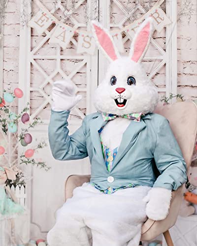 Kate 7x5ft Spring Happy Easter Day Photography Backdrops Colorful Eggs Cute Rabbit Toy Photographic Background Retro Gray Wall White Door Baby Shower Newborn Shooting Backdrop