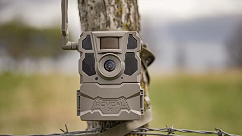 TACTACAM Reveal X Gen 2.0 LTE Cellular Trail Camera (2 PK) + Two 32GB SD Cards