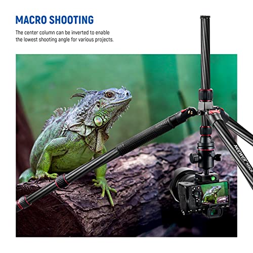 NEEWER Upgraded 80.7" Carbon Fiber Camera Tripod Monopod with Telescopic 2 Section Center Axes, 360° Panorama Ballhead, 1/4" Arca Type QR Plate, Travel Tripod with ø28mm Column, Max Load 26.5lb, N55CR