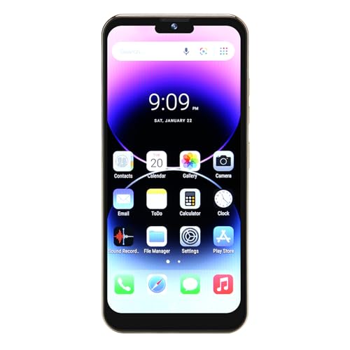 Tangxi 6.5Inch Cell Phone, Quad Core 4G Network WiFi 4GB RAM 64GB ROM 5000mAh Smartphone US Plug 100‑240V (Gold)