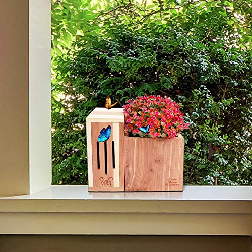 Solution4Patio USA Cedar Butterfly House & Flower Pot 2 in 1 Combination Multifunctional Design with Drainage Holes, 9.2 in. L x 5.7 in. W x 8.0 in. H #B309A00