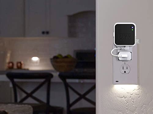 256GB Blink USB Flash Drive for Local Video Storage and The Outlet Mount for Blink Sync Module 2(Blink Add-On Sync Module 2 Itself is NOT Included)
