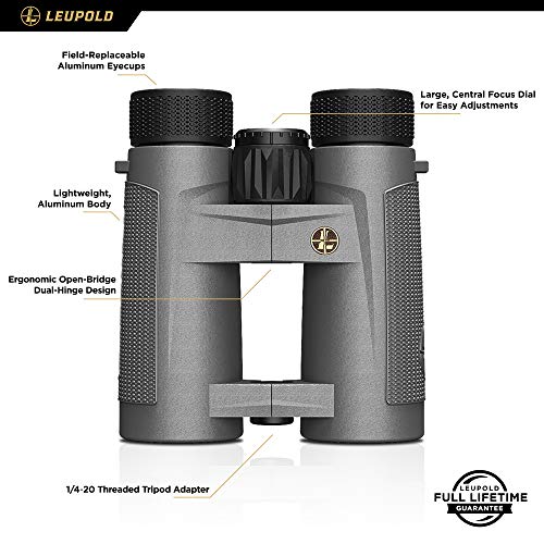Leupold BX-4 Pro Guide HD 10x42mm Binoculars