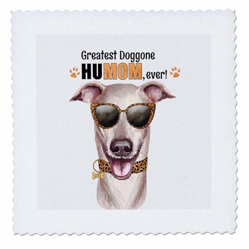 3dRose Cheetah Print Collar and Glasses on a Greyhound Dog for... - Quilt Squares (qs-379221-5)
