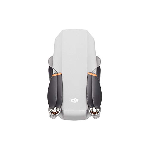 DJI Mini 2 Ultralight & Foldable Drone Quadcopter with Remote Controller - Gray (Renewed)