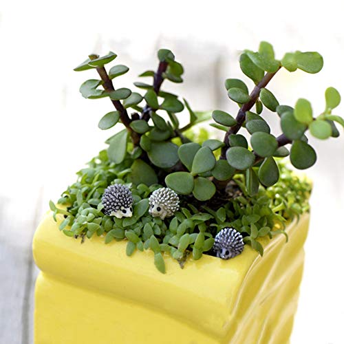 MAOMIA 21 Pcs Mini Hedgehog Figurines, Fairy Garden Hedgehog Miniature Figurines Moss Landscape DIY Terrarium Crafts Ornament Accessories Outdoor Decor