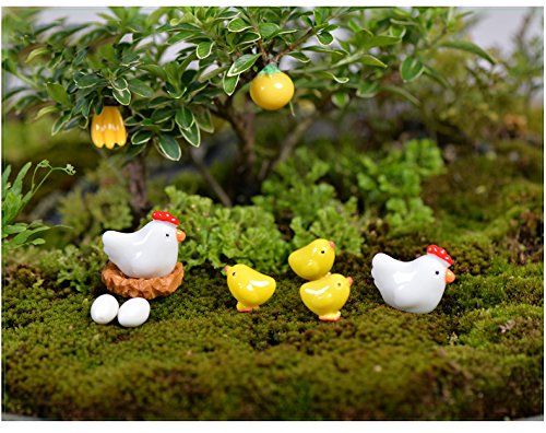DoTebpa 22Pcs Miniature Family Chicken,Cock,Hen,Egg,Chicken Nest Ornament Micro Landscape Fairy Garden Décor