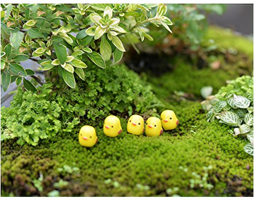 DoTebpa 22Pcs Miniature Family Chicken,Cock,Hen,Egg,Chicken Nest Ornament Micro Landscape Fairy Garden Décor