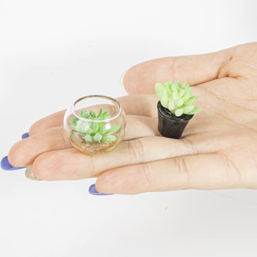 1/12 Scale Miniature Scene Fairy Garden Farm and Plant(Set of 9)