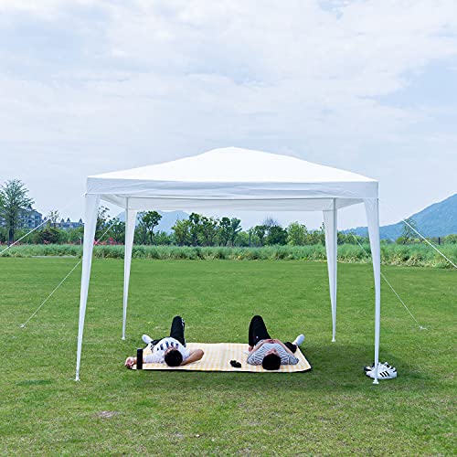 Party Tent Outdoor Canopy Outdoor Wedding Tent Water-Proof Canopy Tent with Removable Sidewalls (10 * 10)