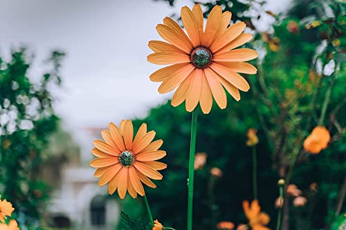 haitiangarden Sunflower Wind Spinner, Metal Yard Art Windmill with 2 Spinning Flowers, Decorative Sunflower Garden Stake for Lawn Patio Pathway