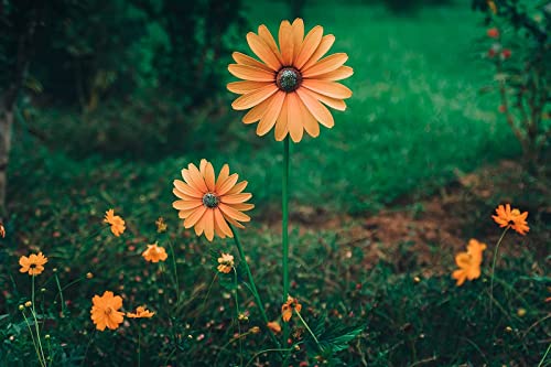 haitiangarden Sunflower Wind Spinner, Metal Yard Art Windmill with 2 Spinning Flowers, Decorative Sunflower Garden Stake for Lawn Patio Pathway