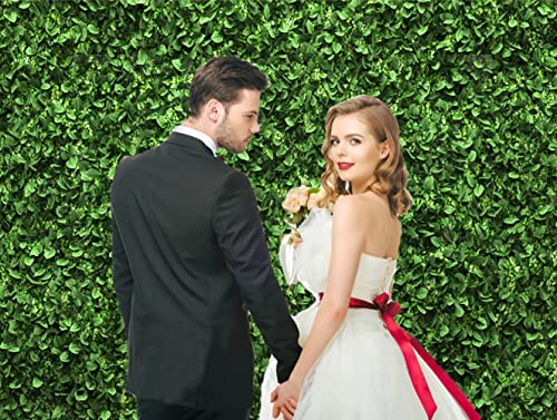 Green Leaves Backdrop Greenery Leaf Wall Background Jungle Theme Baby Shower Party Wedding Shower Party Bridal Shower Photo Props Cake Table Decor 066