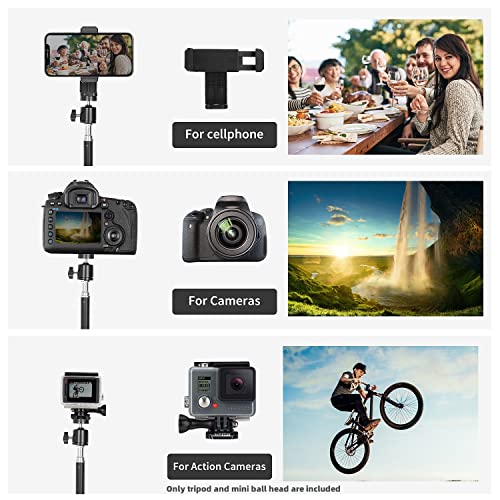 78.7 inch/7.2ft Adjustable Light Stand Tripod, Premium Aluminum Photography Tripod Stand with Ball Head, Compatible with Lights, Projector, Softbox, Cameras, Projector, Relfectors, Umbrellas