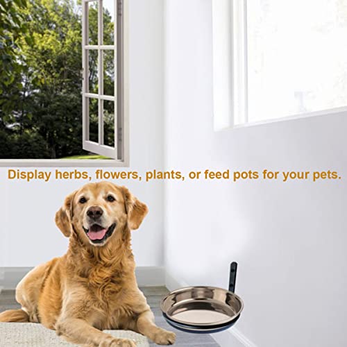 AYSUM 8 Inch Flower Pot Holder Ring 6 Pack Wall Mounted Plant Holder Ring Metal Black Hanging Basket Bracket for Home Garden Indoor Outdoor Plants Planters