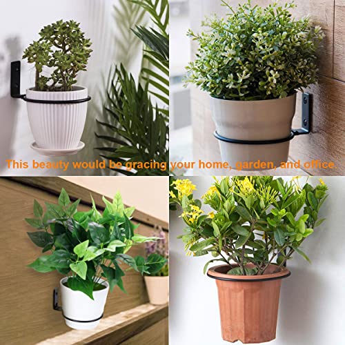 AYSUM 8 Inch Flower Pot Holder Ring 6 Pack Wall Mounted Plant Holder Ring Metal Black Hanging Basket Bracket for Home Garden Indoor Outdoor Plants Planters