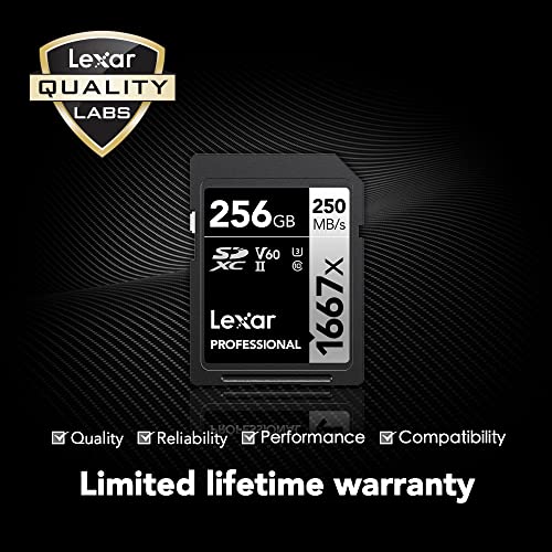 Lexar Professional 1667x 64GB SDXC UHS-II Memory Card, C10, U3, V60, Full-HD & 4K Video, Up To 250MB/s Read, for Professional Photographer, Videographer, Enthusiast (LSD64GCBNA1667)