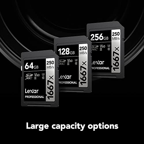 Lexar Professional 1667x 64GB SDXC UHS-II Memory Card, C10, U3, V60, Full-HD & 4K Video, Up To 250MB/s Read, for Professional Photographer, Videographer, Enthusiast (LSD64GCBNA1667)