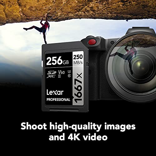 Lexar Professional 1667x 64GB SDXC UHS-II Memory Card, C10, U3, V60, Full-HD & 4K Video, Up To 250MB/s Read, for Professional Photographer, Videographer, Enthusiast (LSD64GCBNA1667)