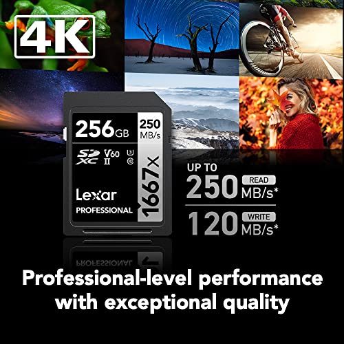Lexar Professional 1667x 64GB SDXC UHS-II Memory Card, C10, U3, V60, Full-HD & 4K Video, Up To 250MB/s Read, for Professional Photographer, Videographer, Enthusiast (LSD64GCBNA1667)
