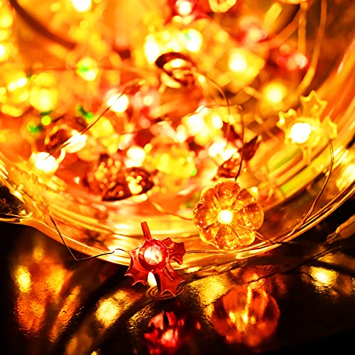 TWONGIFT Autumn LED Solar String Lights Outdoor,40LED Maple Pumpkin Acorn Thanksgiving Decorative Lights Indoor,18ft Fall Garland Solar Turkey Lights for Halloween,Garden,Mantel,Kitchen(8 Modes)