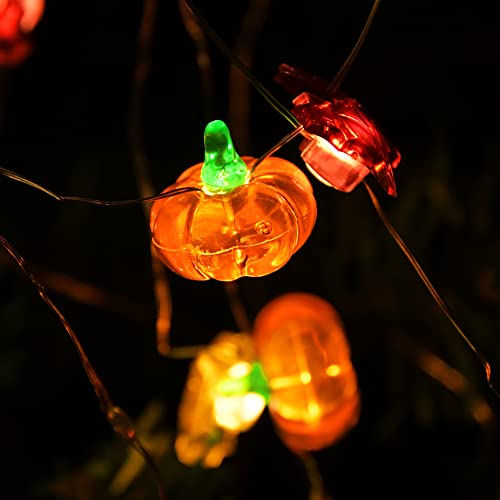 TWONGIFT Autumn LED Solar String Lights Outdoor,40LED Maple Pumpkin Acorn Thanksgiving Decorative Lights Indoor,18ft Fall Garland Solar Turkey Lights for Halloween,Garden,Mantel,Kitchen(8 Modes)