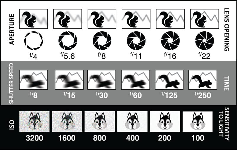 DSLR/mirrorless Photography Cheat Sheets Credit Card Size Reference Card Fits in Pocket/Wallet/Camera Bag. Aperture, Shutter Speed, Exposure Triangle & Manual Mode, for Canon, Sony & Nikon