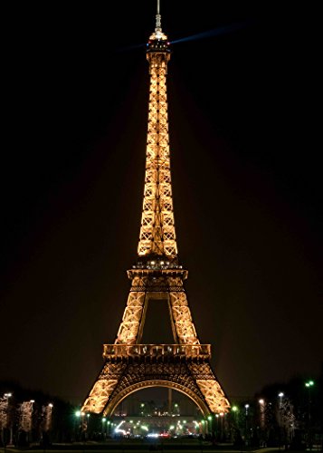 LYLYCTY 5×7ft Lights up The Night Paris Eiffel Tower Photography Backdrop Photo Studio Background Props wall-251