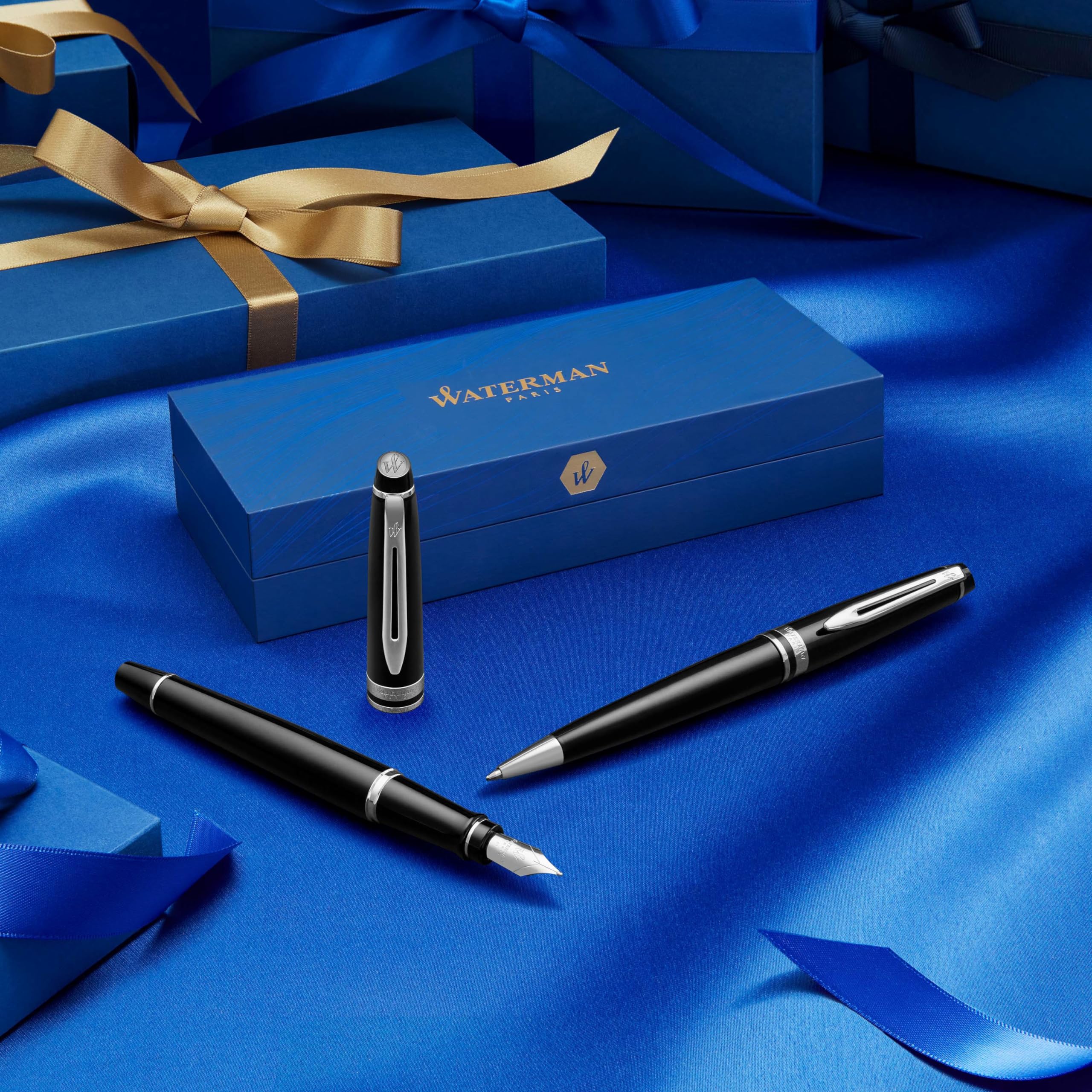 Waterman Expert Black Ballpoint Pen CT, Medium Point, Blue Ink