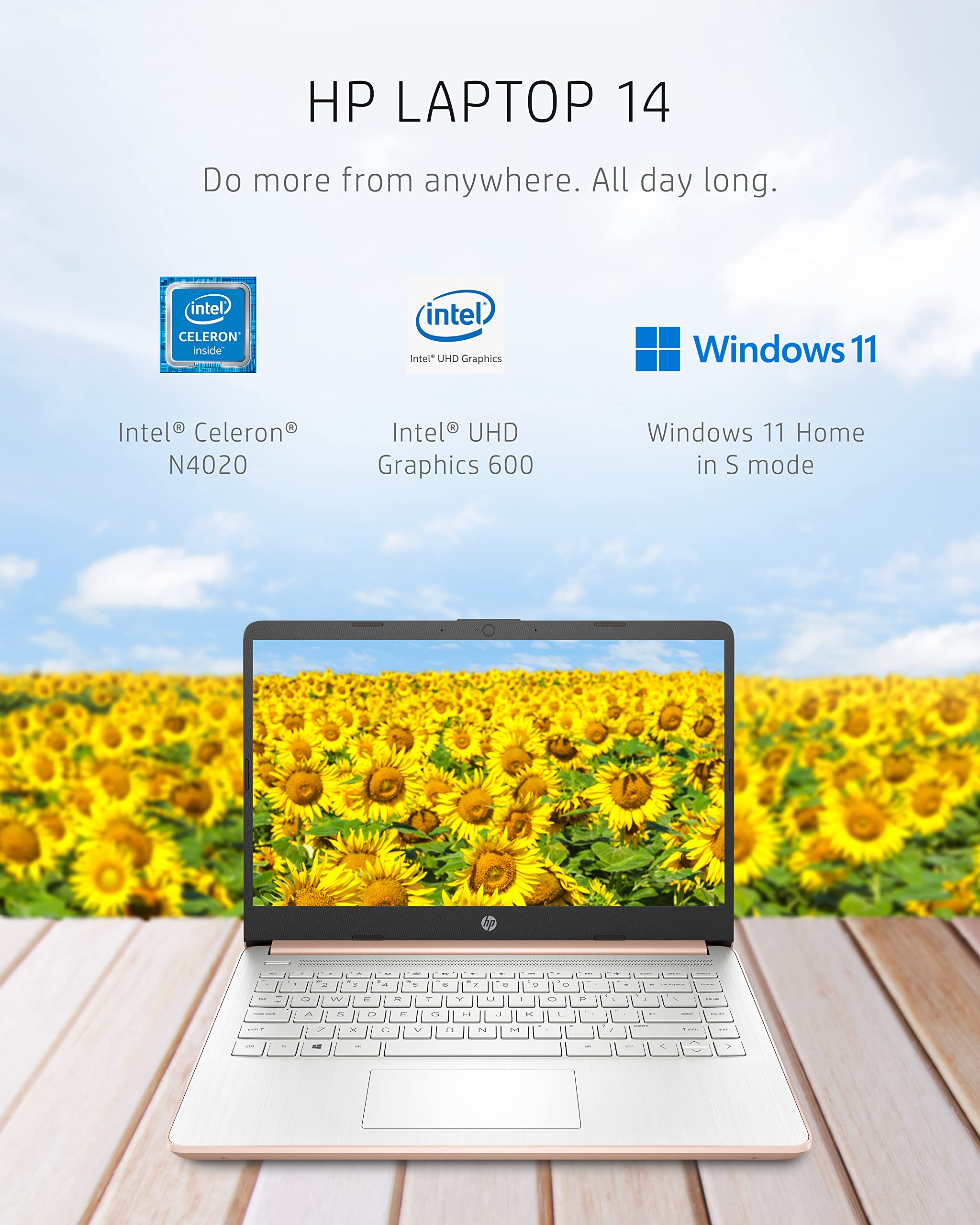 HP 14 Laptop, Intel Celeron N4020, 4 GB RAM, 64 GB Storage, 14-inch Micro-edge HD Display, Windows 10 Home, Thin & Portable, 4K Graphics, One Year of Microsoft 365 (14-dq0030nr, 2021, Pale Rose Gold)