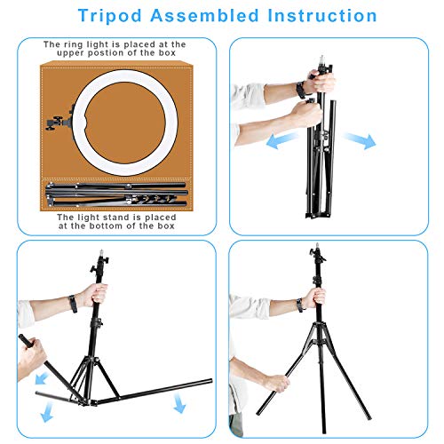Ring Light with Stand and Phone Holder, IVISII 18 inch Ring Light,55W 5500K LED Ring Light for Live Stream/Makeup/YouTube Video, Dimmable LED Beauty Selfie Ring Light for TikTok Photography