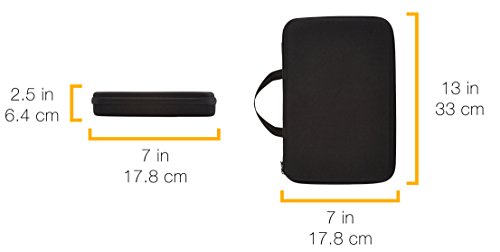 Amazon Basics Large Carrying Case for GoPro And Accessories - 13 x 9 x 2.5 Inches, Black