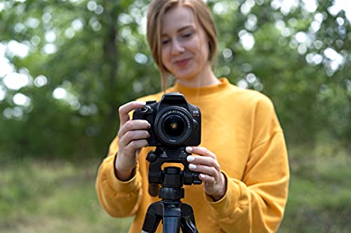 DaVoice 43mm Tripod Quick Release Plate Camera Mounting Adapter Parts Replacement for Torjim 60-Inch AX60, Endurax 66" ETR66, UBeesize 60β TR60, Zomei Q111, KingJoy, Victiv, Mactrem PT55 Tripod Mount