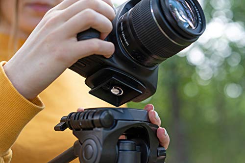DaVoice 43mm Tripod Quick Release Plate Camera Mounting Adapter Parts Replacement for Torjim 60-Inch AX60, Endurax 66" ETR66, UBeesize 60β TR60, Zomei Q111, KingJoy, Victiv, Mactrem PT55 Tripod Mount