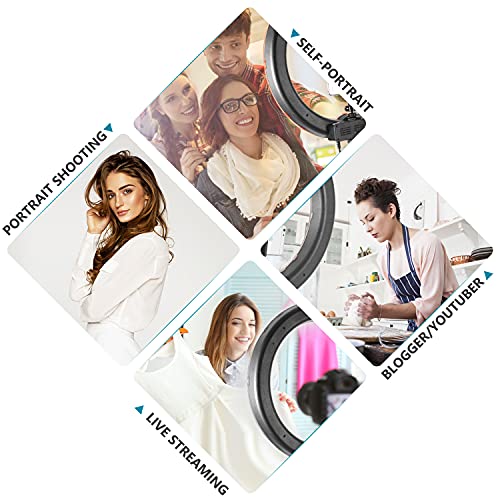 Neewer Ring Light Kit:18"/48cm Outer 55W 5500K Dimmable LED Ring Light, Light Stand, Carrying Bag for Camera,Smartphone,YouTube,TikTok,Self-Portrait Shooting, Black, Model:10100416