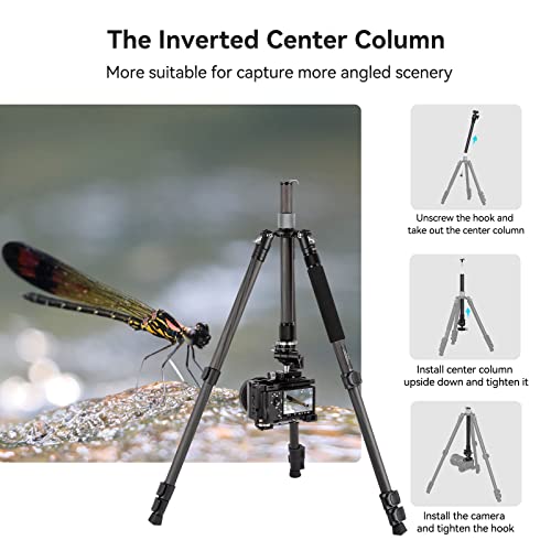 SmallRig 62.2" Carbon Fiber Tripod with Center Column, Travel Lightweight Tripods & Detachable Monopod, 360° Ball Head, Quick Release Plate, Load up to 26.5 lbs/12 kg-4059