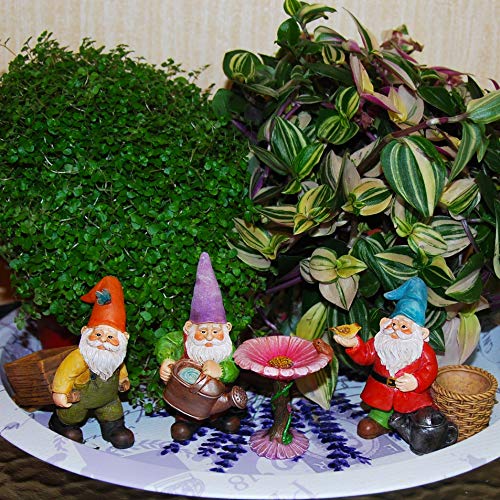 Mood Lab Miniature Gardening Gnomes Set of 4 pcs - 3,5" H Garden Gnome Figurines & Accessories Kit - Outdoor or House Decor