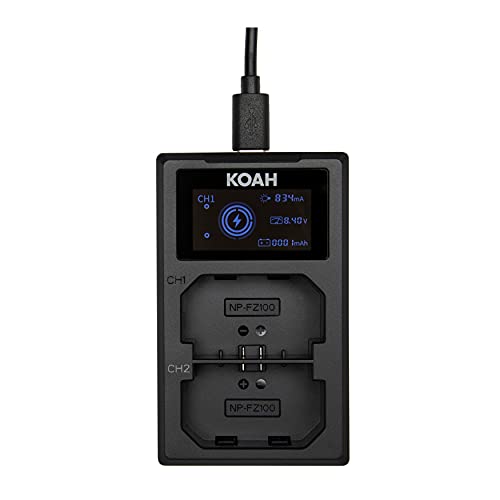 Sony NP-FZ100 Z-Series Rechargeable Battery Pack (for a9 and a7rIII Cameras) with Dual Charger - Great Replacement Accessory for Compatible Digital Cameras (2 Items)