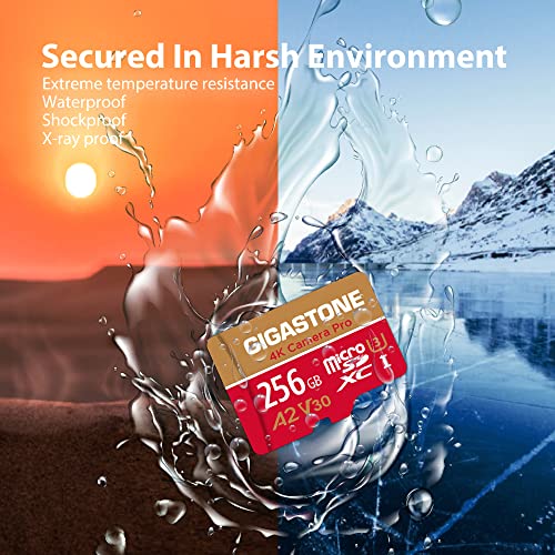 [5-Yrs Free Data Recovery] Gigastone 256GB Micro SD Card, 4K Camera Pro, A2 V30 for Smartphone, Gopro, Action Cams, 4K UHD Video, Nintendo-Switch Compatible, Up to 100MB/s, UHS-I U3 C10 with Adapter