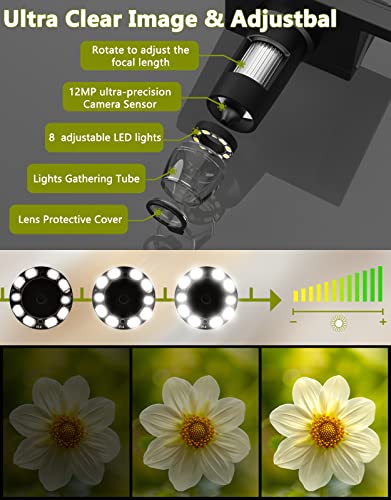 4.3 Inch Digital Microscope, Carenart Coin Microscope with 32GB TF Card 50X-1000X Magnification with 8 Adjustable LED Lights for Adults Kids Outside and Home Use