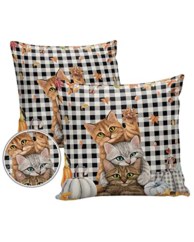 Outdoor Pillow Covers for Patio Furniture 16x16 inch 2PCS, Square Waterproof Garden Cushion Thanksgiving Harvest Pumpkin Cats Buffalo Plaid Throw Pillow Cover Shell for Sofa Couch Bench Seat