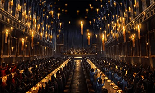 Magic Backdrop for Photography, Dinning Photo Background for Hogwarts Theme Party Decorations Supplies, Dinning Tapestry for Bedroom, Polyester 5x3ft