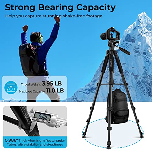 ZIKZOK 75 Inch Camera Tripod, Lightweight Travel Aluminum Cell Phone Video Tripod for DSLR/SLR/DV/GoPro/iPhone with Bag (Weight 2.8Lbs/Load 11Lbs)